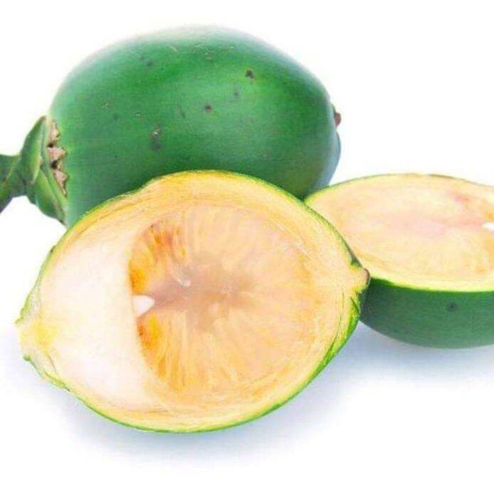 Buah Pinang Muda segar | Lazada Indonesia