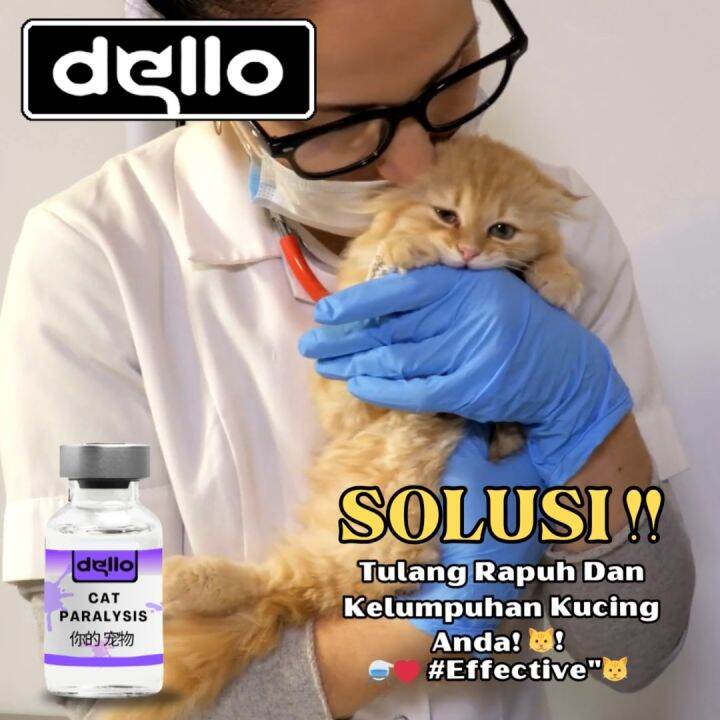 Obat Lumpuh Kucing Mengobati Kejang Tetanus Dan Kekurangan Kalsium ...