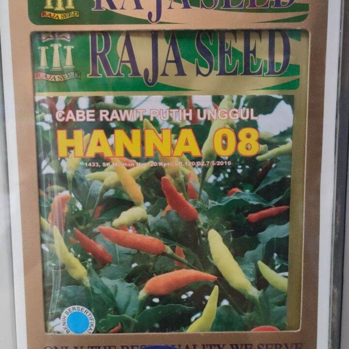 Benih Cabai Rawit Putih Acung Hana 08 Raja Seed | Lazada Indonesia