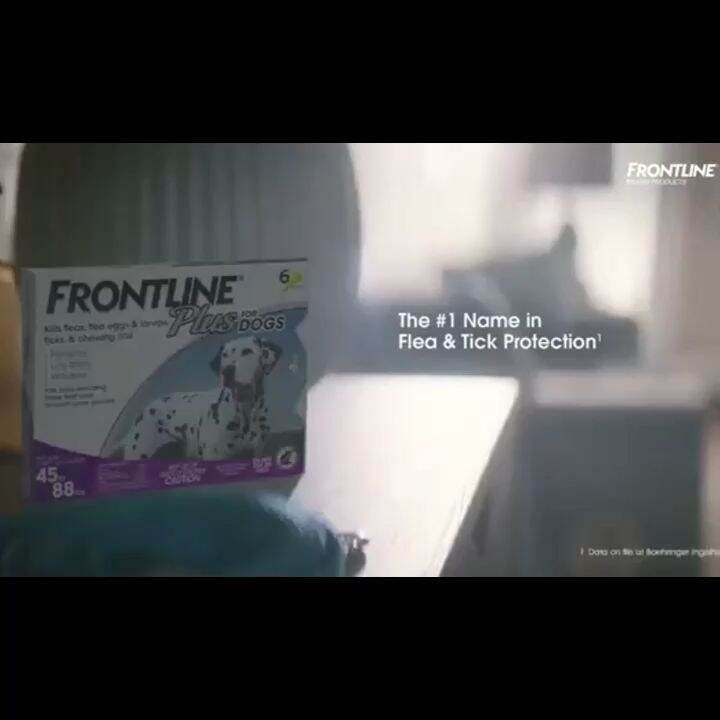 FRONTLINE Plus For Dogs Flea & Tick Spot Treatment Relieve Itching And Removing Fleas | Lazada PH