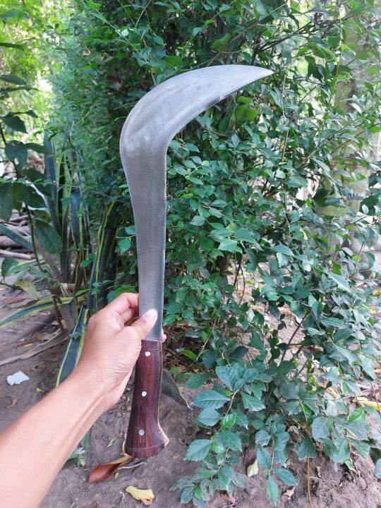 Arit rumput baja super khas jawa timur | Lazada Indonesia