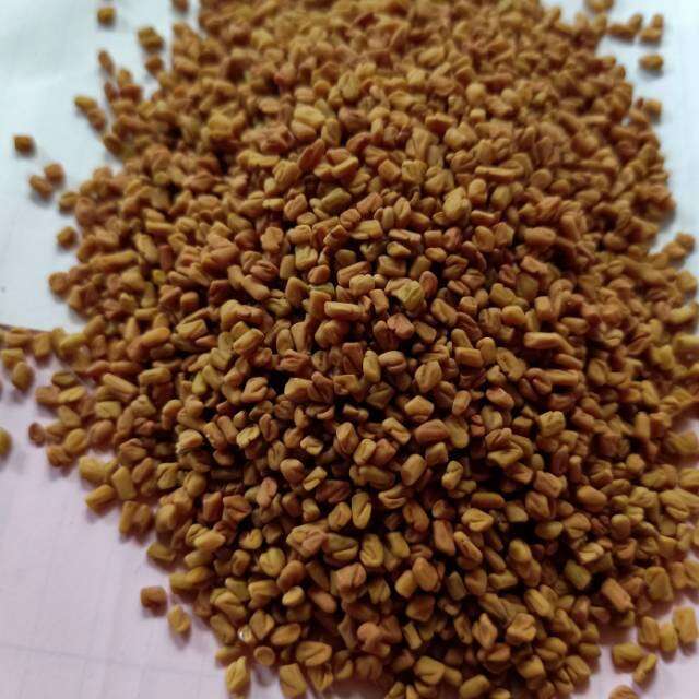 kelabat Alba kelabet 1 kg | Lazada Indonesia