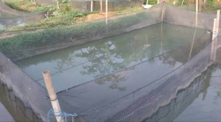 keramba waring rk 4x6x2 meter untuk keramba ikan keramba apung, keramba ...