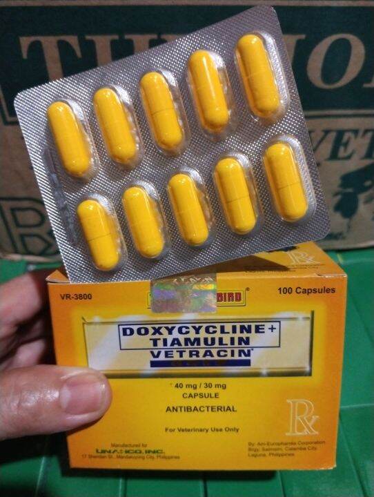 VETRACIN CAPSULE Antibactirial (1banig) | Lazada PH