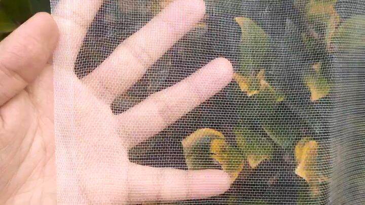 Insect Net White Nylon Mosquito Net 3x10M 3x30M Garden Insect Netting ...