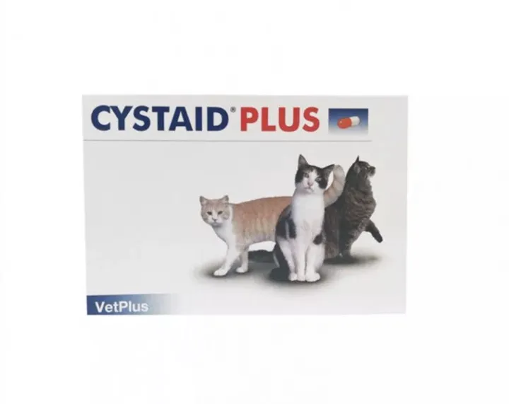 Cystaid plus 1 แผง( 30 แคปซูล) อาหารเสริม สำหรับแมวมีปัญหาการปัสสาวะ ...