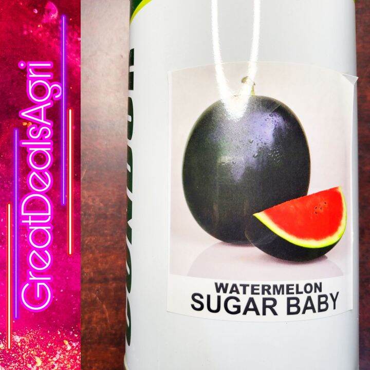 SUGAR BABY OPV WATERMELON SEEDS (250 grams) CONDOR SEEDS | Lazada PH