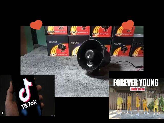 BACKHORN • BREAK HORN ⭐FOREVER YOUNG ⭐ 12-24V FOR ALL VEHICLES | Lazada PH