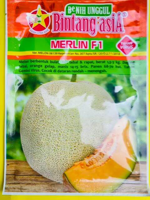 Benih Melon MERLIN F1 isi 20 gr dari BINTANG ASIA MANTAB | Lazada Indonesia