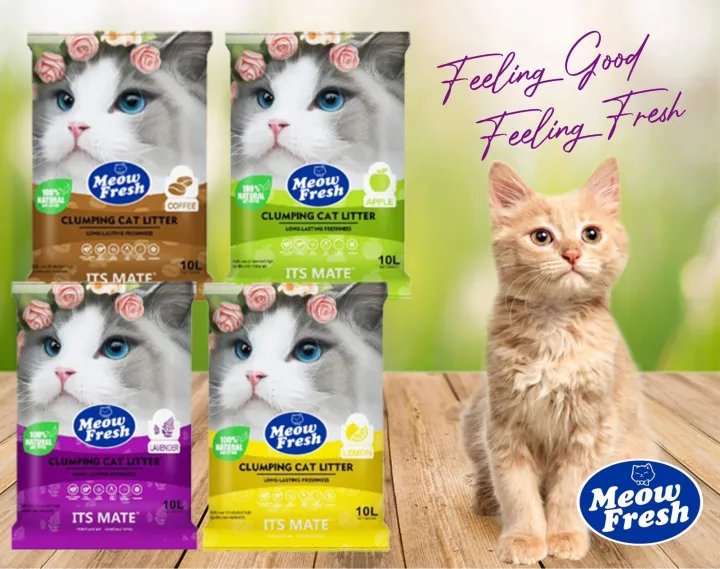 Meow Fresh Cat Litter 10L | Lazada PH