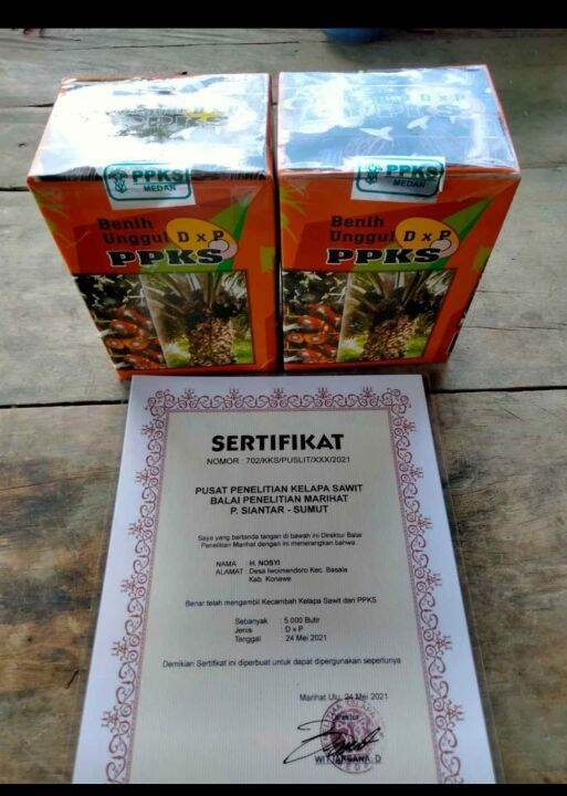 bibit benih tanaman sawit PPKS varietas DXP 239 high CPO dan PKO ...