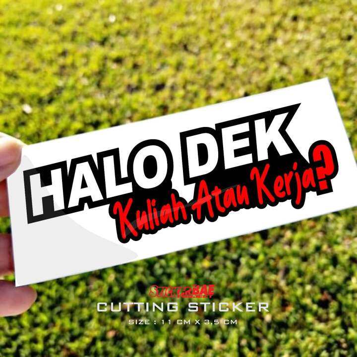 Stiker motor kekinian stiker halo dek kuliah apa kerja sticker cutting lapis hallo dec | Lazada ...