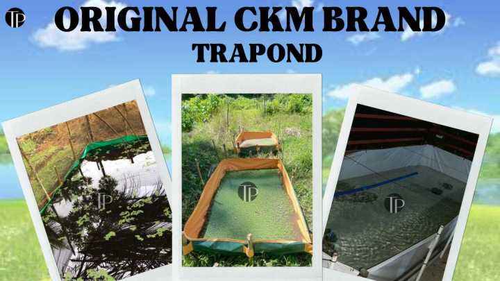 FREE ROPE!! 4x8x1.5FT Azolla Trapond Bed, Azolla Pond, Trapal Pond, Trapond, Fish Tank, Fish ...