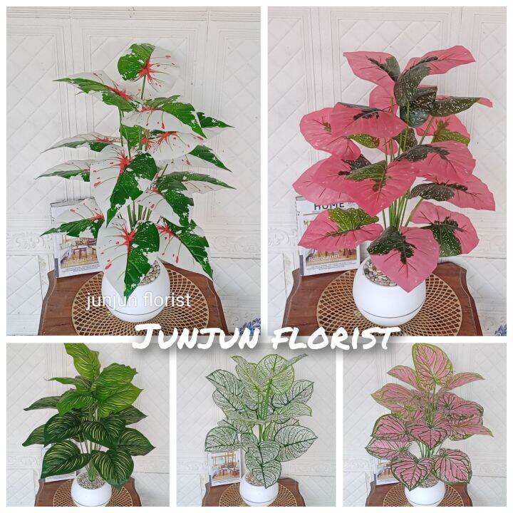 tanaman hias keladi artificial vas bola besar | Lazada Indonesia