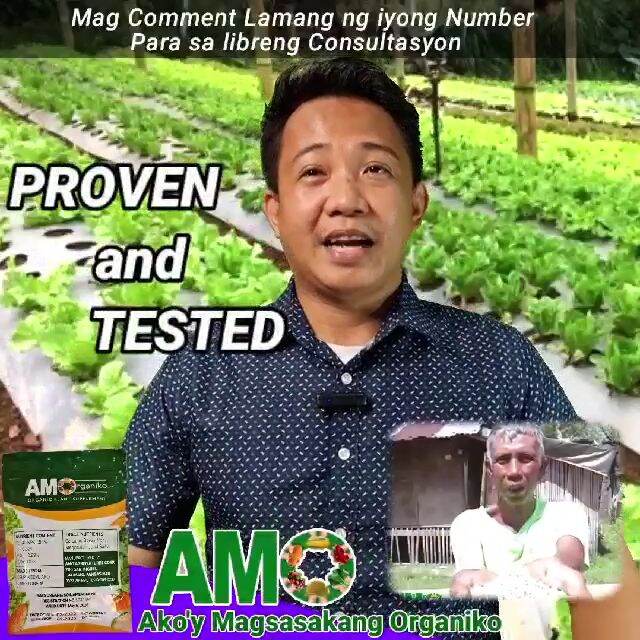 AMO Plant Growth Enhancer Seaweed Organic Fertilizer 100g 10g Soil ...
