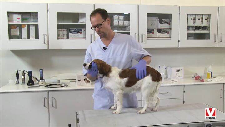 KRUUSE Bedi-Shield-Vet ปลอกยางสวมนิ้ว นำเข้าจากประเทศเดนมาร์ก นวัตกรรม ...