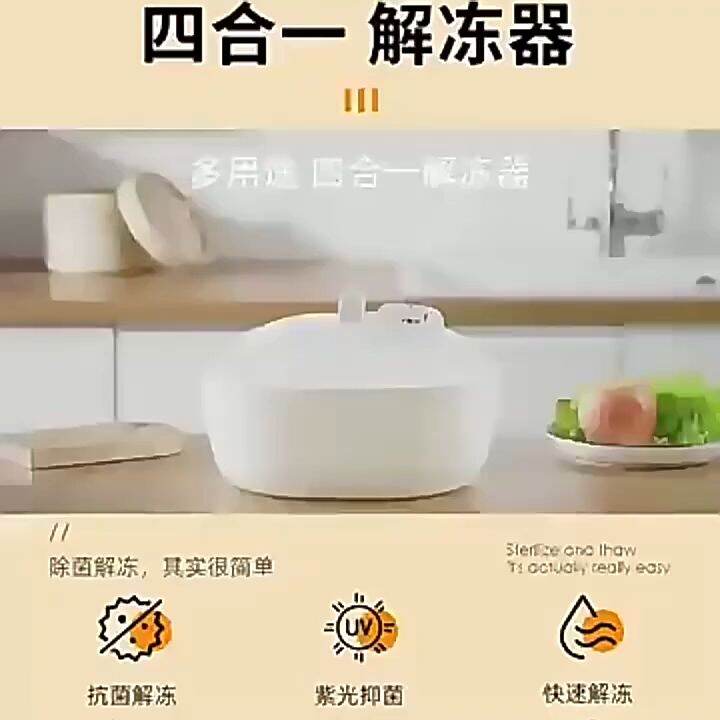 GMSHOP 4 in 1 Defrosting Tray Multifunction Large Capacity Fast Food ...