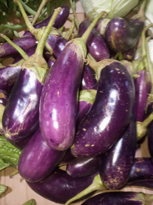 terong ungu super 1kg | Lazada Indonesia