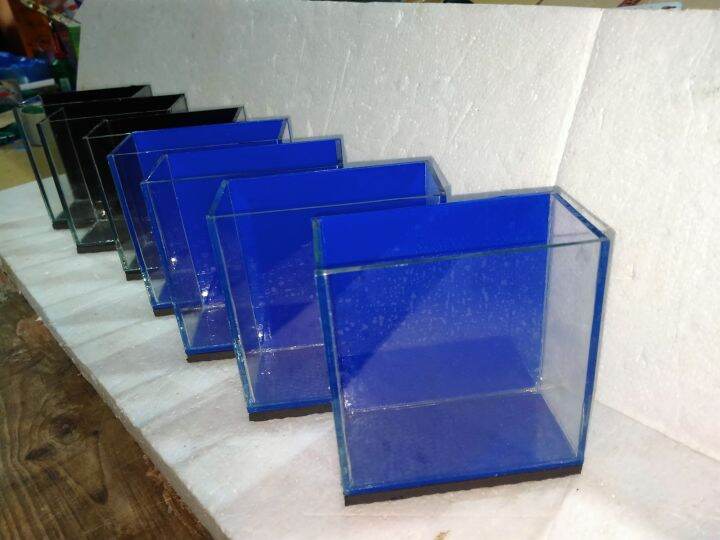 Show tank/Viewing aquarium tank for guppies & small fishes | Lazada PH