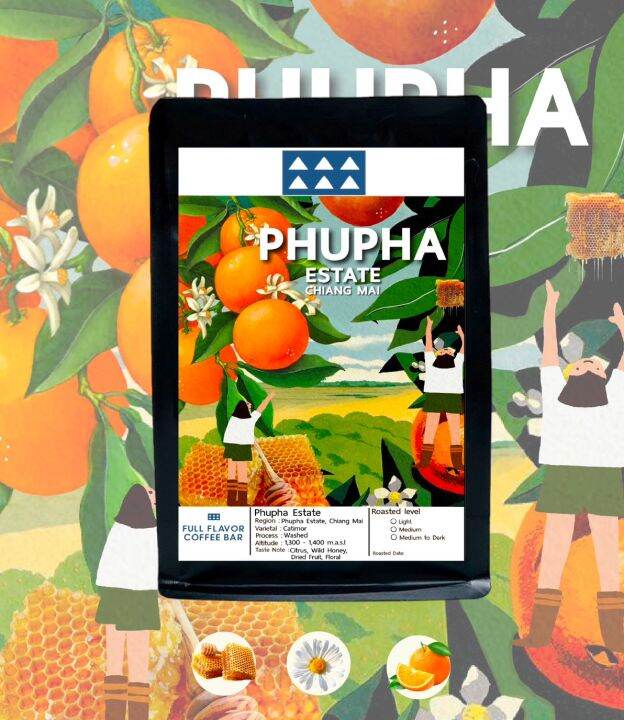 เมล็ดกาแฟภูผา เอสเตท เชียงใหม่phupha estate chiangmai | Lazada.co.th