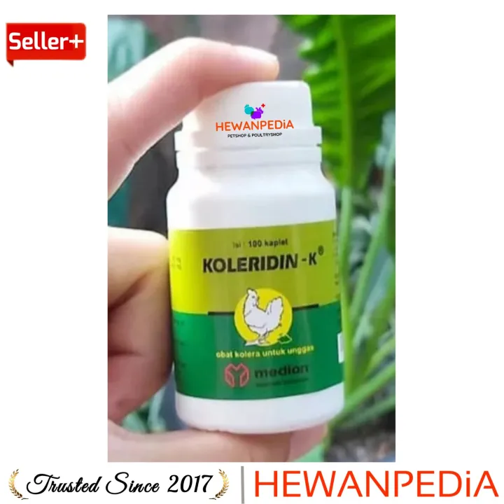 KOLERIDIN K 100 Kaplet HEWANPEDIA - Obat Ayam Burung Diare Hijau Putih ...