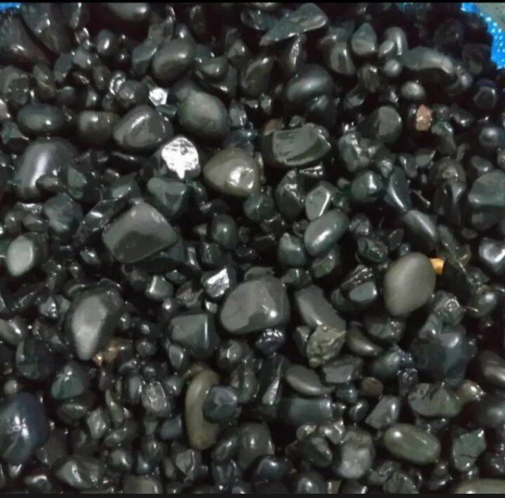 Batu koral hitam kemasan 1kg | Lazada Indonesia