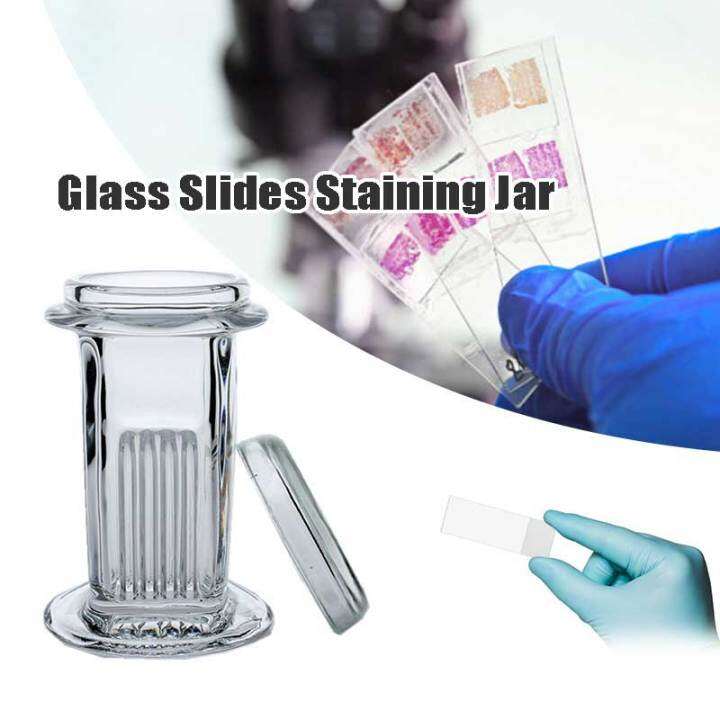 1 Liter Jar Coplin Staining Jar - Holds 5-10 Microscope Slides, 60ml ...