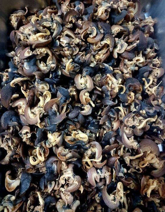 African snails / escargots 🐌/ congo meat 500g | Lazada.co.th