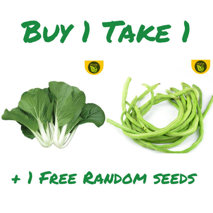 binhi ng mga gulay pantanim pechay 100+ seeds and sitaw 60 seeds ...