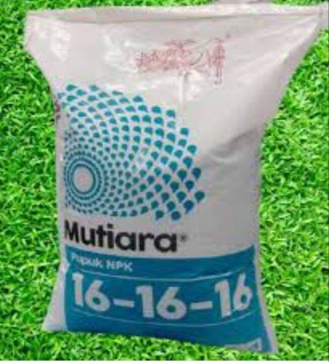pupuk NPK mutiara 16-16-16 | Lazada Indonesia