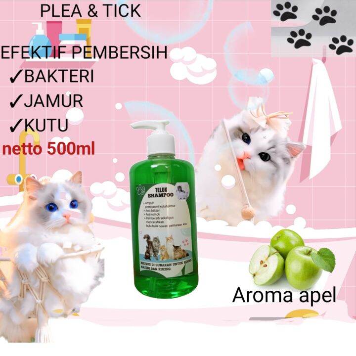 SHAMPOO KUCING DAN ANJING ANTI,KUTU JAMUR DAN BAKTERI AROMA APEL 500ML ...