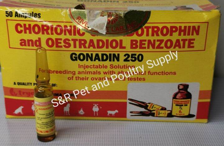 Gonadin 250 injection solution 2ml | Lazada PH