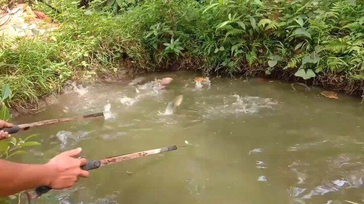 【Ready Stock】99900W DC12V Ultrasonic Inverter Electric Fish Fisher ...