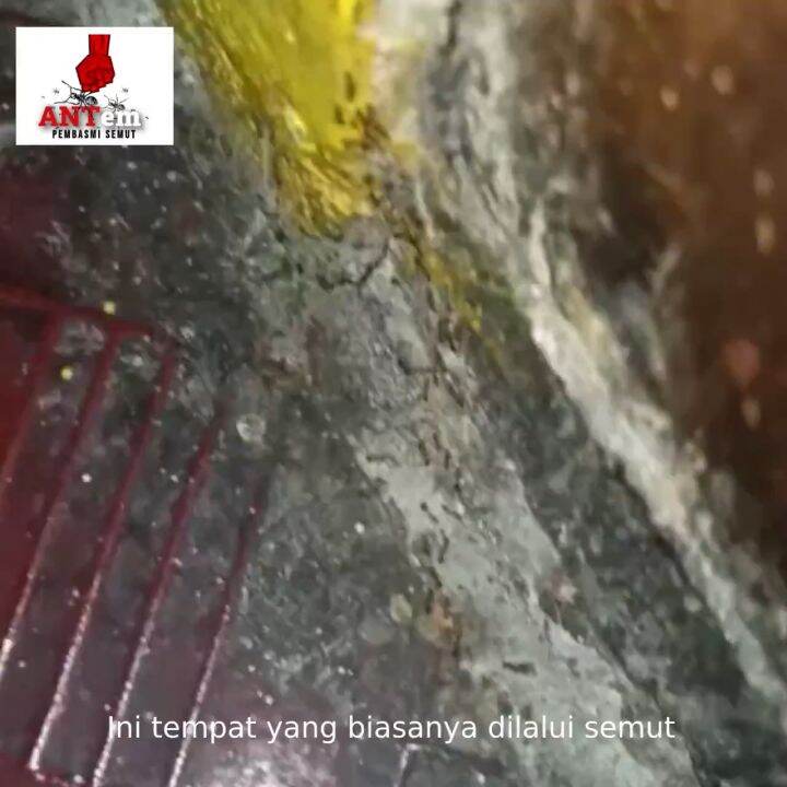 Racun Pembasmi Semut ANTem - obat semut | Lazada Indonesia