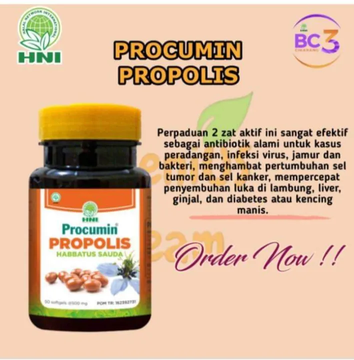 Procumin Propolis HNI HPAI / Obat kelenjar getah bening / Obat liver ...
