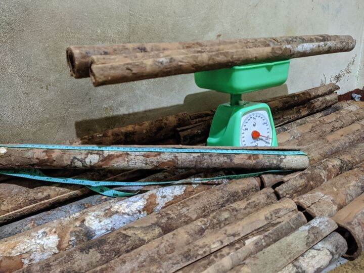 Kulit kayu raru obat diabetes penurun kadar gula darah 500gr | Lazada ...