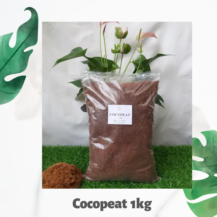 COCO PEAT /1kg by Kate's Garden TMC | Lazada PH