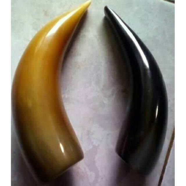 ONCE PIPA TANDUK KERBAU HITAM DAN BULE | Lazada Indonesia