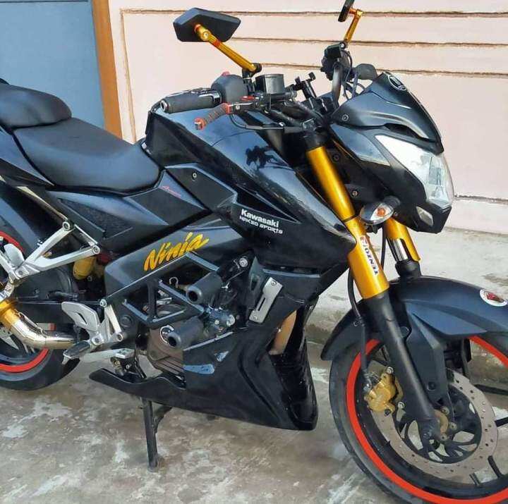 KAWASAKI ROUSER 150 and 200 TRELLIS BELLY PAN | Lazada PH