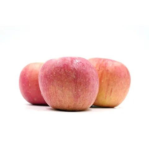 Fuji Apple (Large) 6pcs | Lazada PH