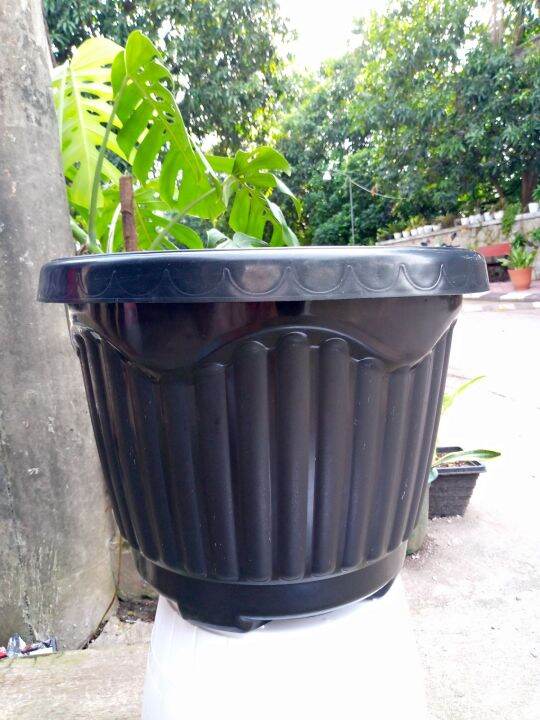 Pot Bunga Besar Jumbo Ukuran 45/Pot Tanaman Besar Mio Shallom 45 ...