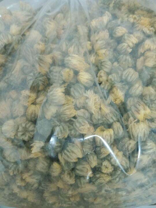 胎菊 Embryo Chrysanthemum Bud Flower Tea 1kg | Lazada