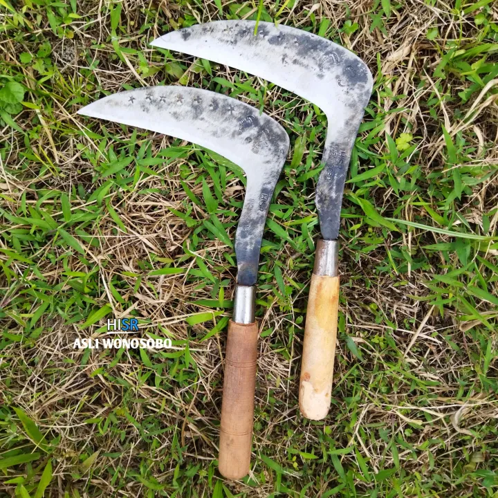 Arit rumput / padi baja isen sap 2 sudah diasah cap HSIR Bintang ...