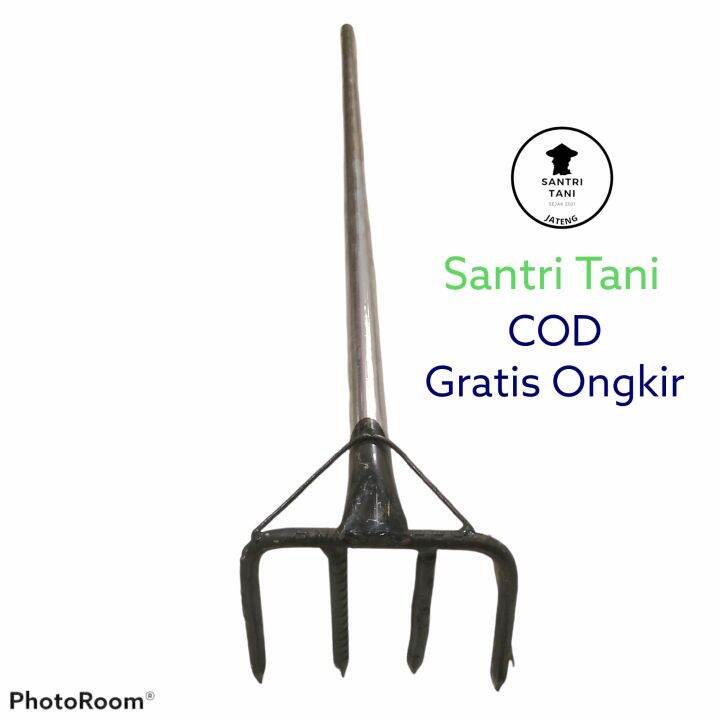 GAGANG BESI GARPU - Rumput Sampah Garuk - Taman Kerek Besi | Lazada ...