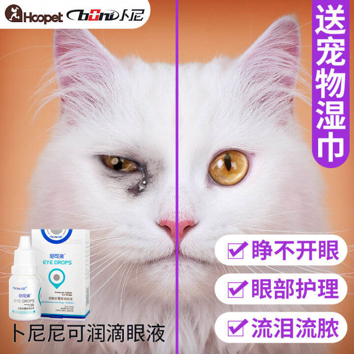 Cat Eye Care Solution Cat Eye Drops Eye Medicine Eye Inflammation Tears ...