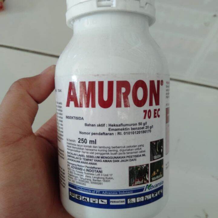 AMURON 70EC 250ml Insektisida | Lazada Indonesia