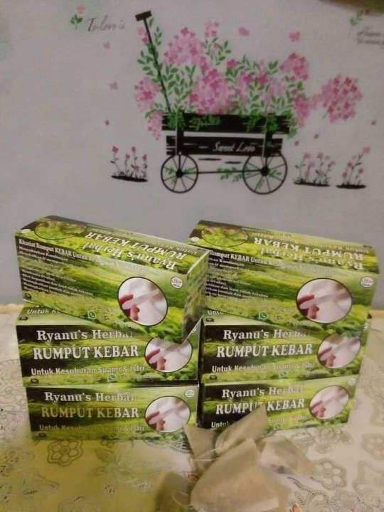 TEH RUMPUT KEBAR | TEH PROMIL 100% ORIGINAL RUMPUT KEBAR | Lazada Indonesia