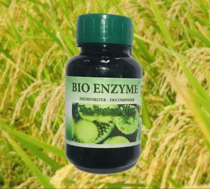 bio enzyme decomposer( promo!!!) | Lazada PH