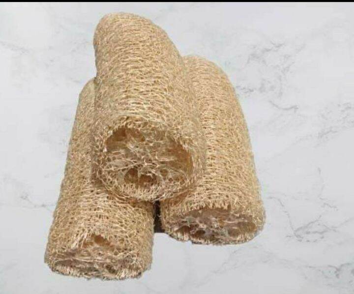 Loofah / Panghilod Ng Katawan Set Of 3pcs | Lazada PH