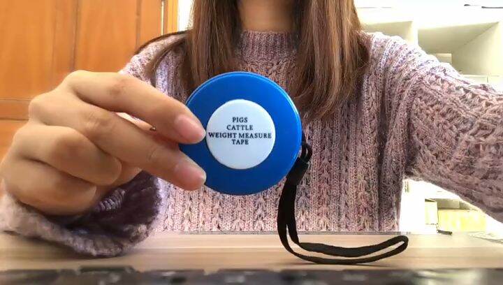Meteran Sapi Untuk Mengukur Lingkar Dada / Alat Ukur Lingkar Dada Sapi ...